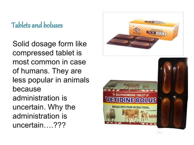 Veterinary drug delivery system | PPTX