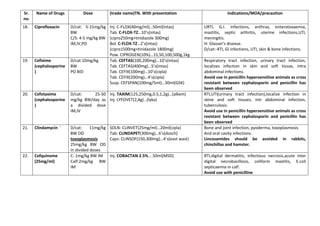 Veterinary Drug Index for veterinarians | PDF
