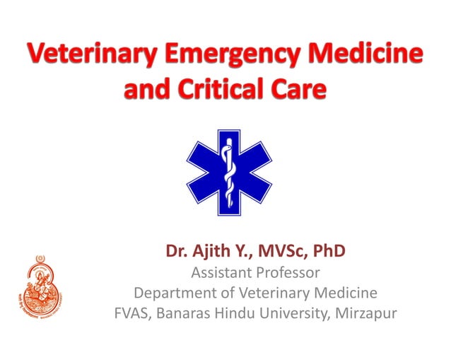 Veterinary Emergency Medicine and Critical Care | PDF | First Aid | Injuries