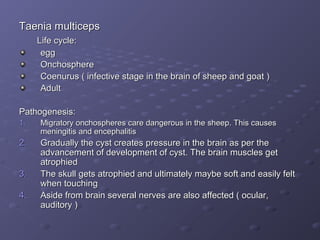 Veterinaryhelminthology 100210000624-phpapp01 2 | PPT