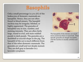 Veterinary Histology of Blood | PPTX