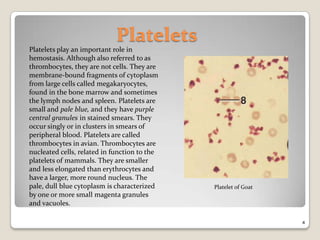 Veterinary Histology of Blood | PPTX