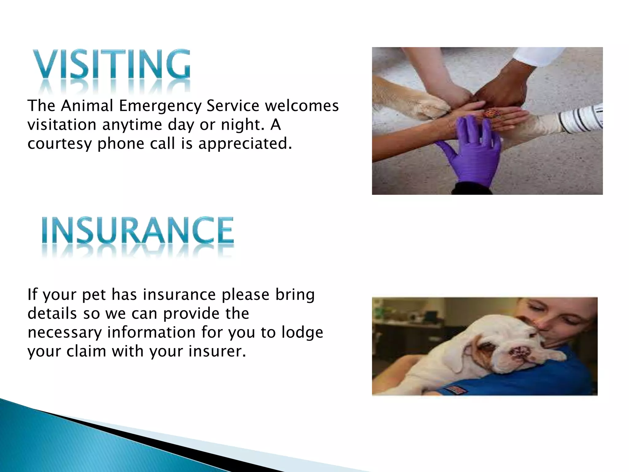 Veterinary Hospital AES | PPTX