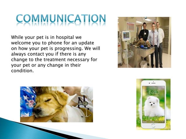 Veterinary Hospital AES | PPT