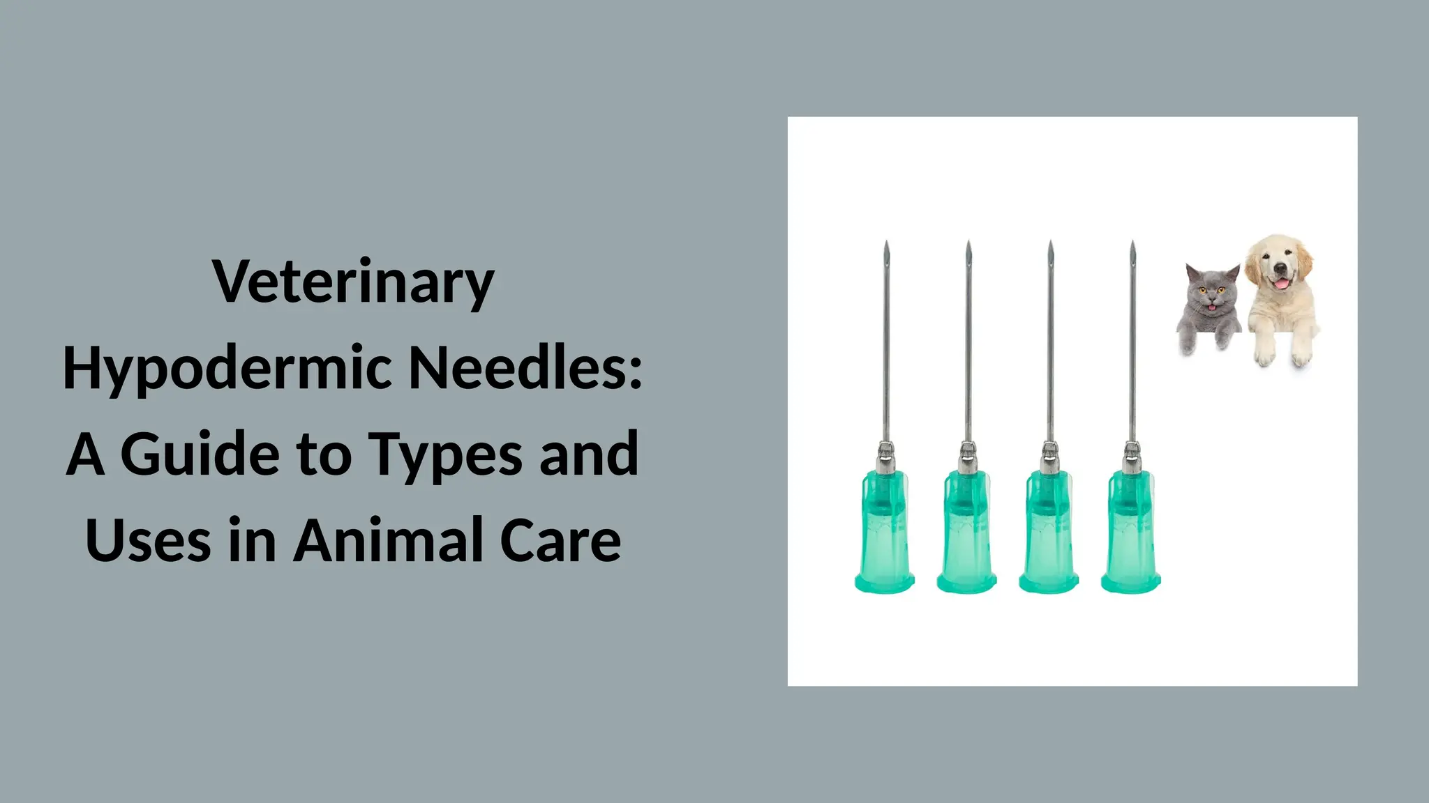 Veterinary Hypodermic Needles : A Guide to Types and Uses in Animal ...