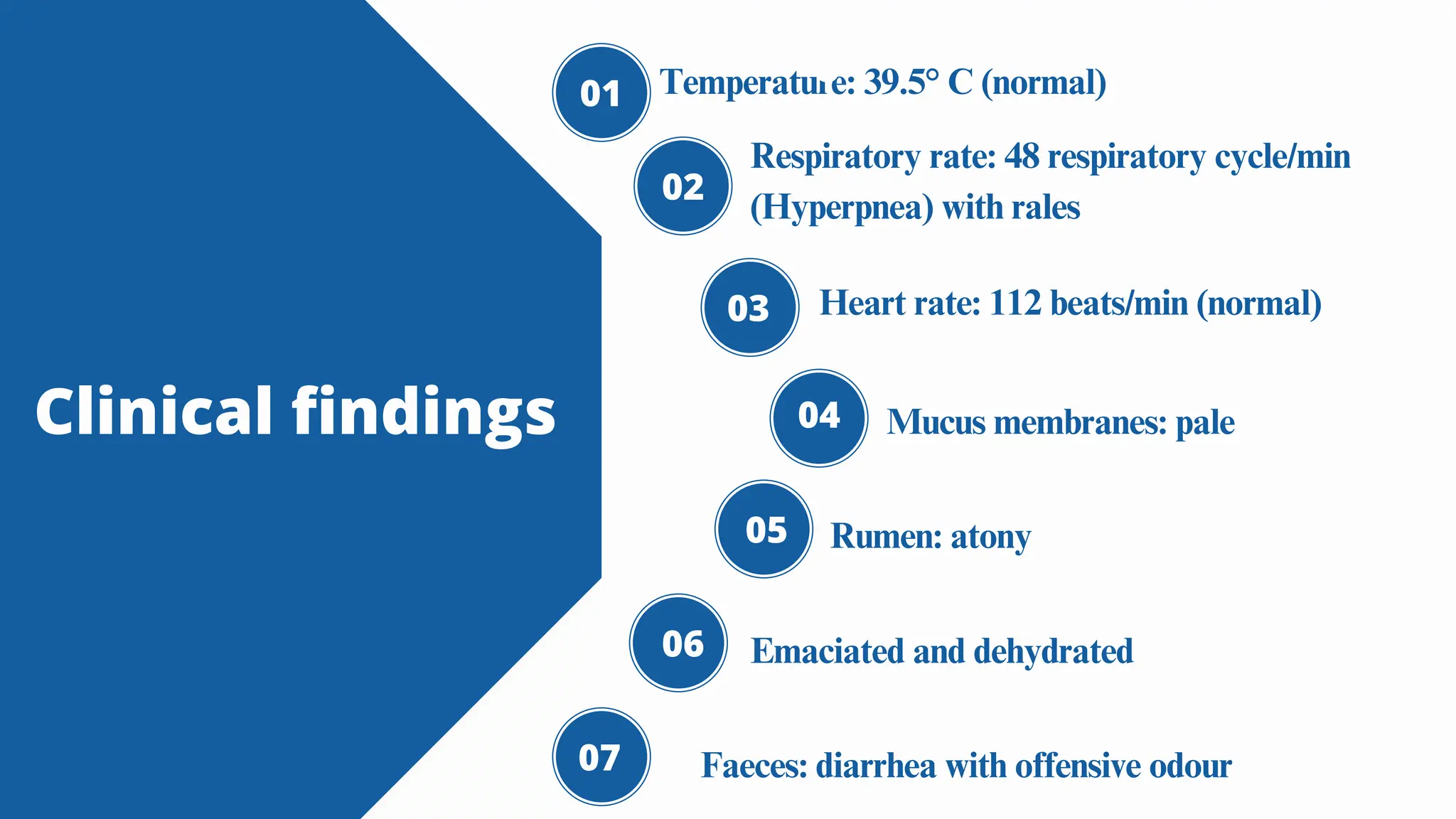 Veterinary infectious diseases presentation.pdf