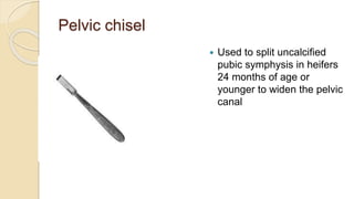 Veterinary Instruments | PPTX