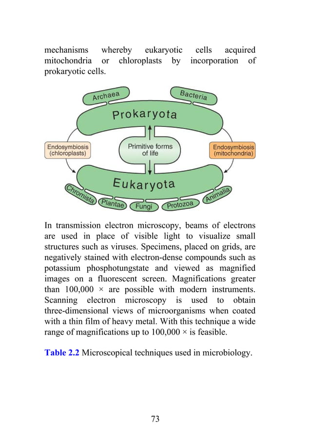 Veterinary microbiology and microbial disease | PDF