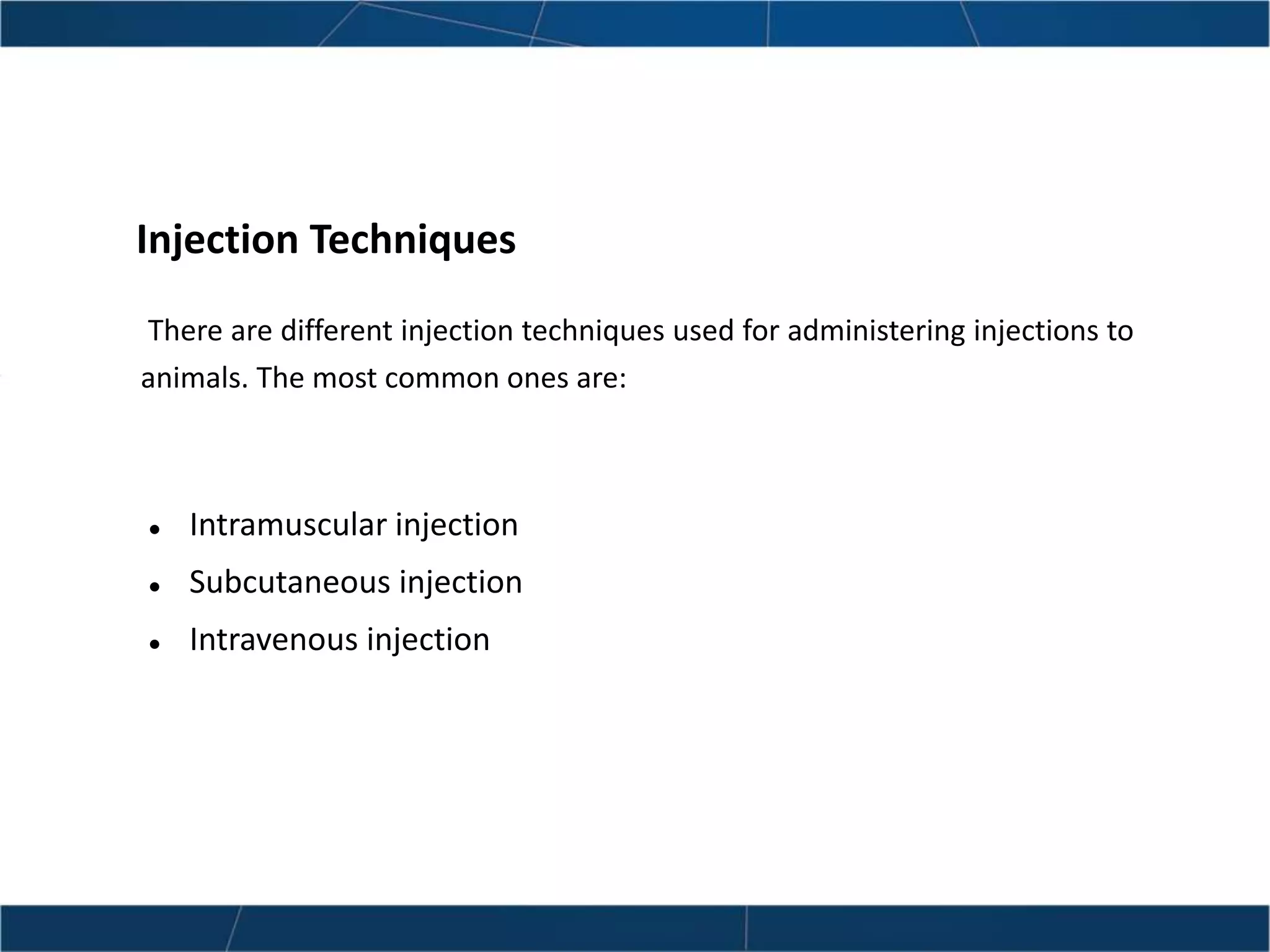 Veterinary Needles | PPT