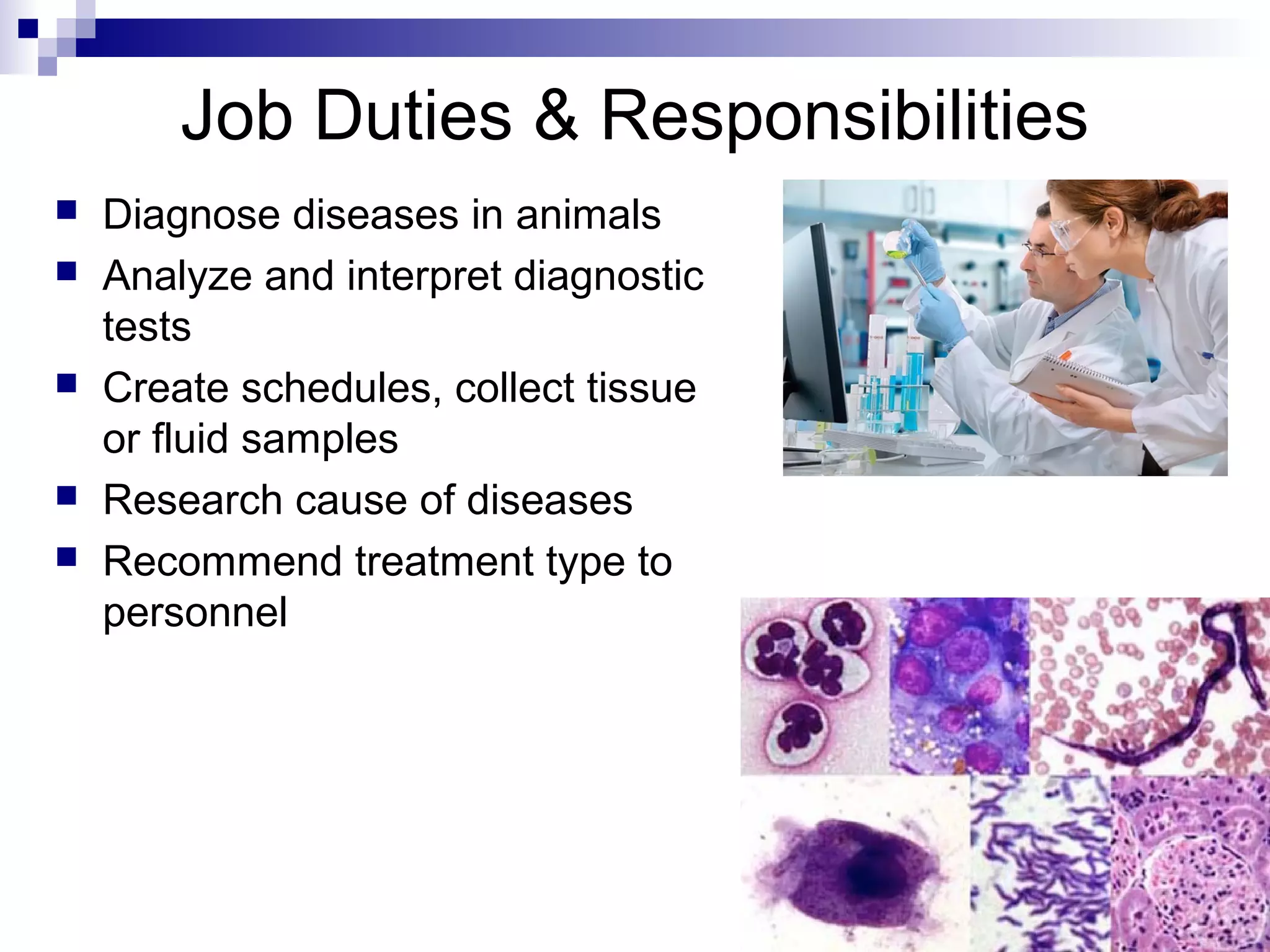 Veterinary pathologist | PPT