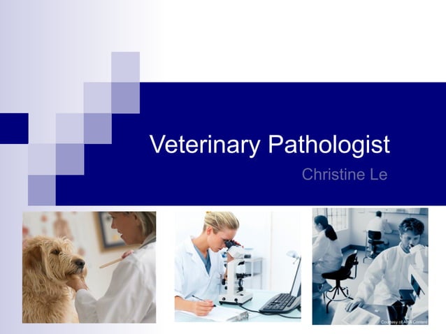 Veterinary pathologist | PPT | Veterinary Medicine | Pets