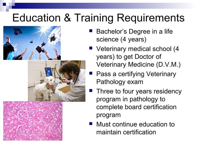 Veterinary pathologist | PPT