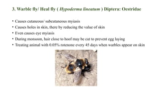 Veterinary Pests: Major pests of Livestock and poultry | PPTX