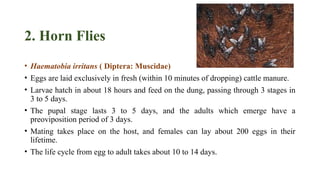 Veterinary Pests: Major pests of Livestock and poultry | PPTX