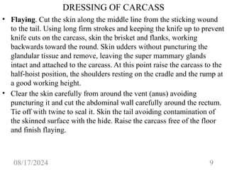 veterinary public health notes uci .pptx | First Aid | Injuries