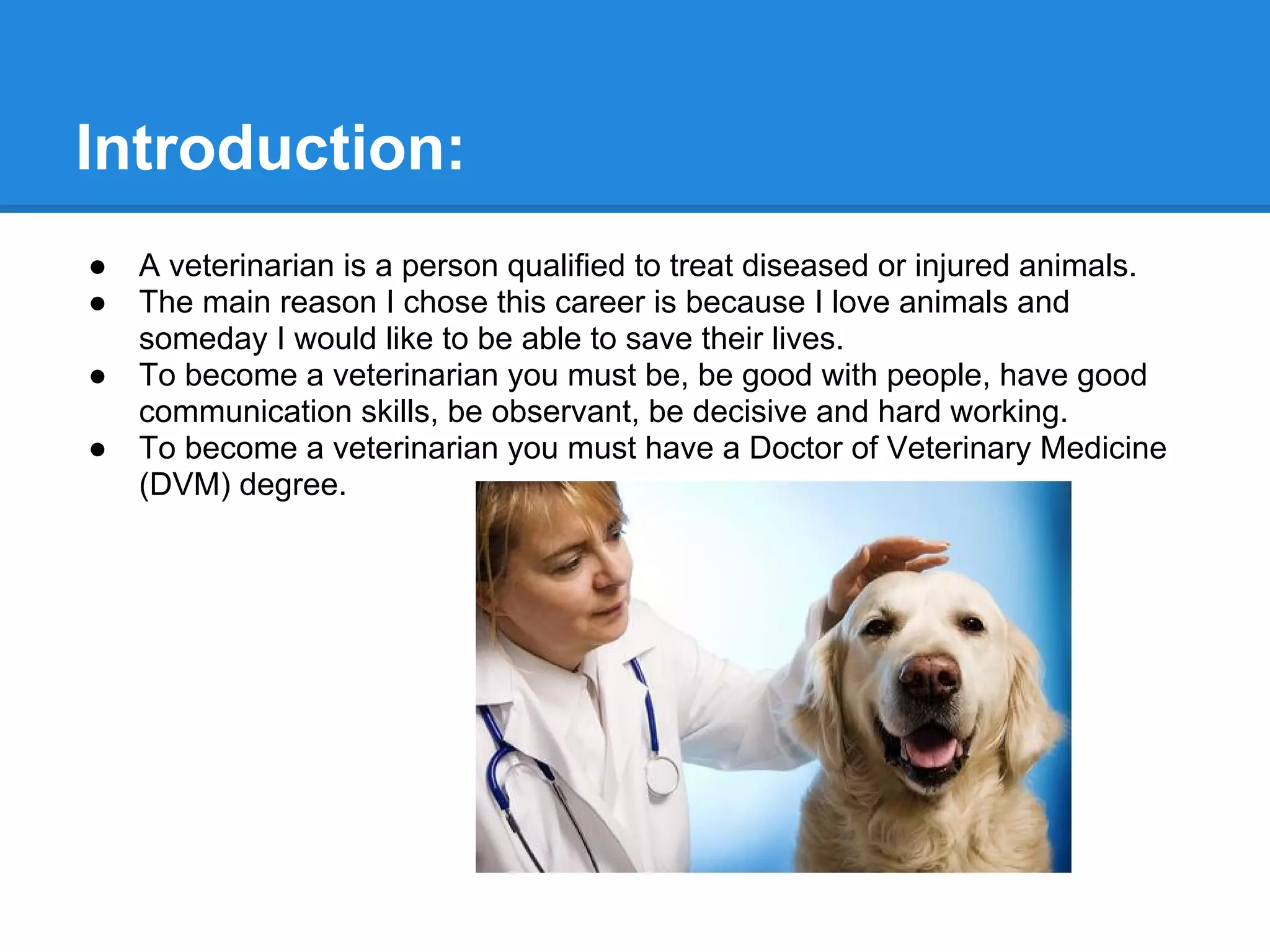 Veterinary slideshow (presentation of career) | PDF