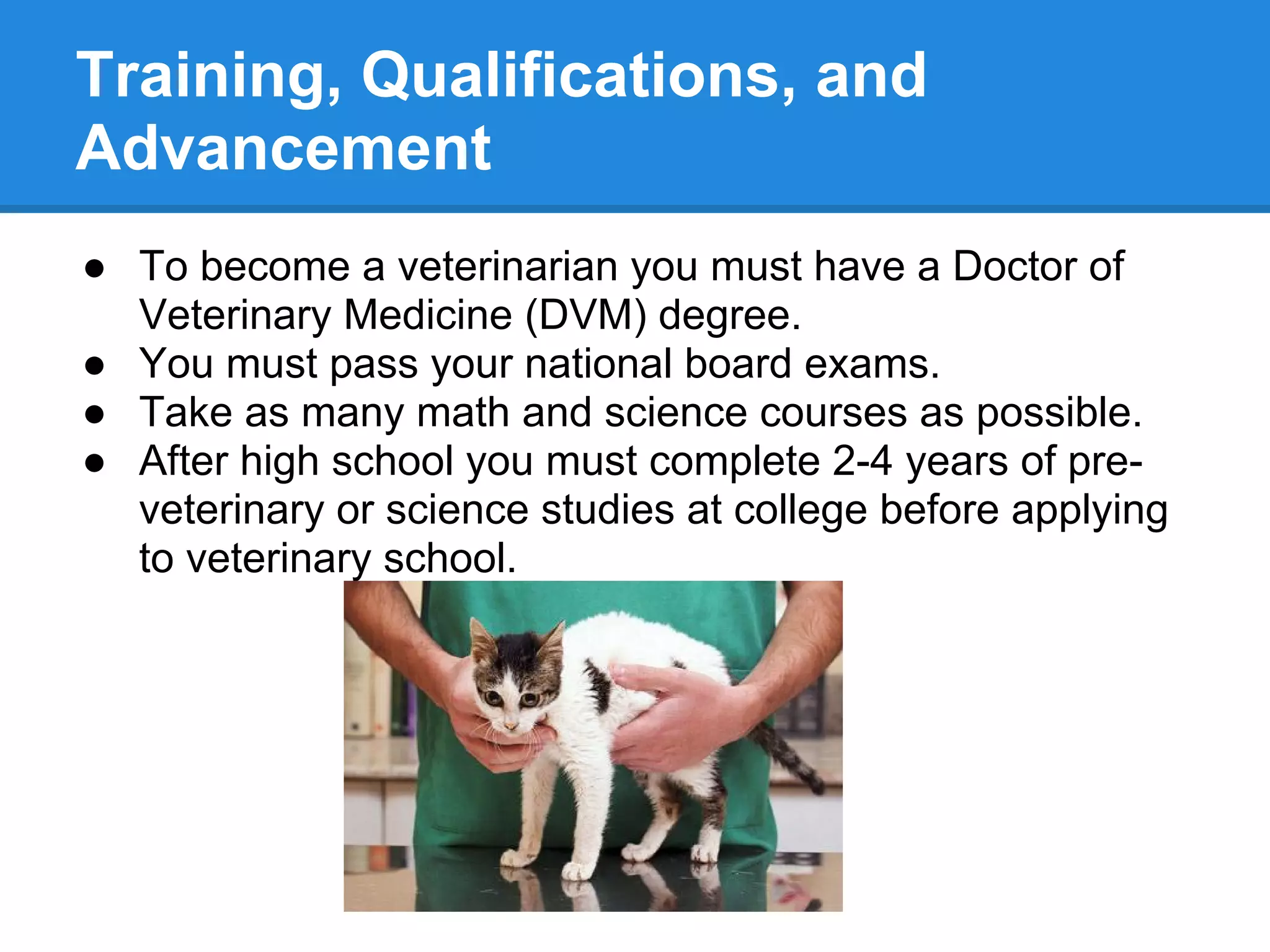 Veterinary slideshow (presentation of career) | PDF