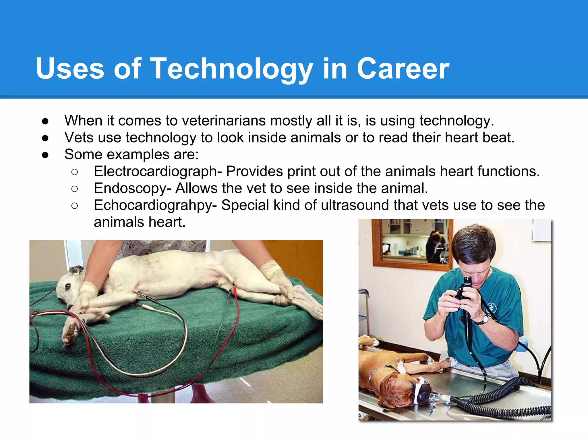 Veterinary slideshow (presentation of career) | PDF