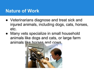 Veterinary slideshow (presentation of career) | PDF