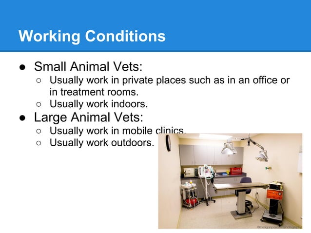 Veterinary slideshow (presentation of career) | PDF