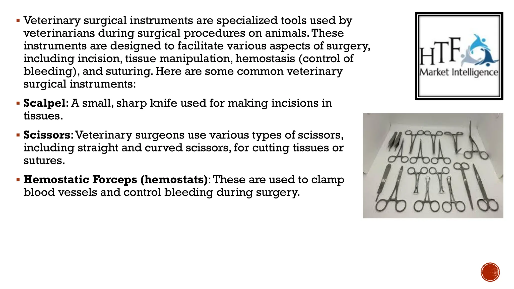 Veterinary Surgical Instrument Market.pdf