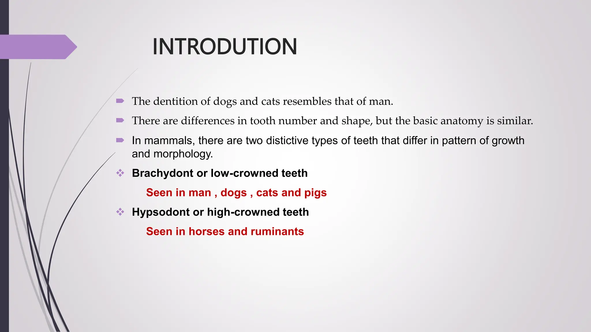 VETERINARY TOOTH ANATOMY AN OVERVIEW.pptx