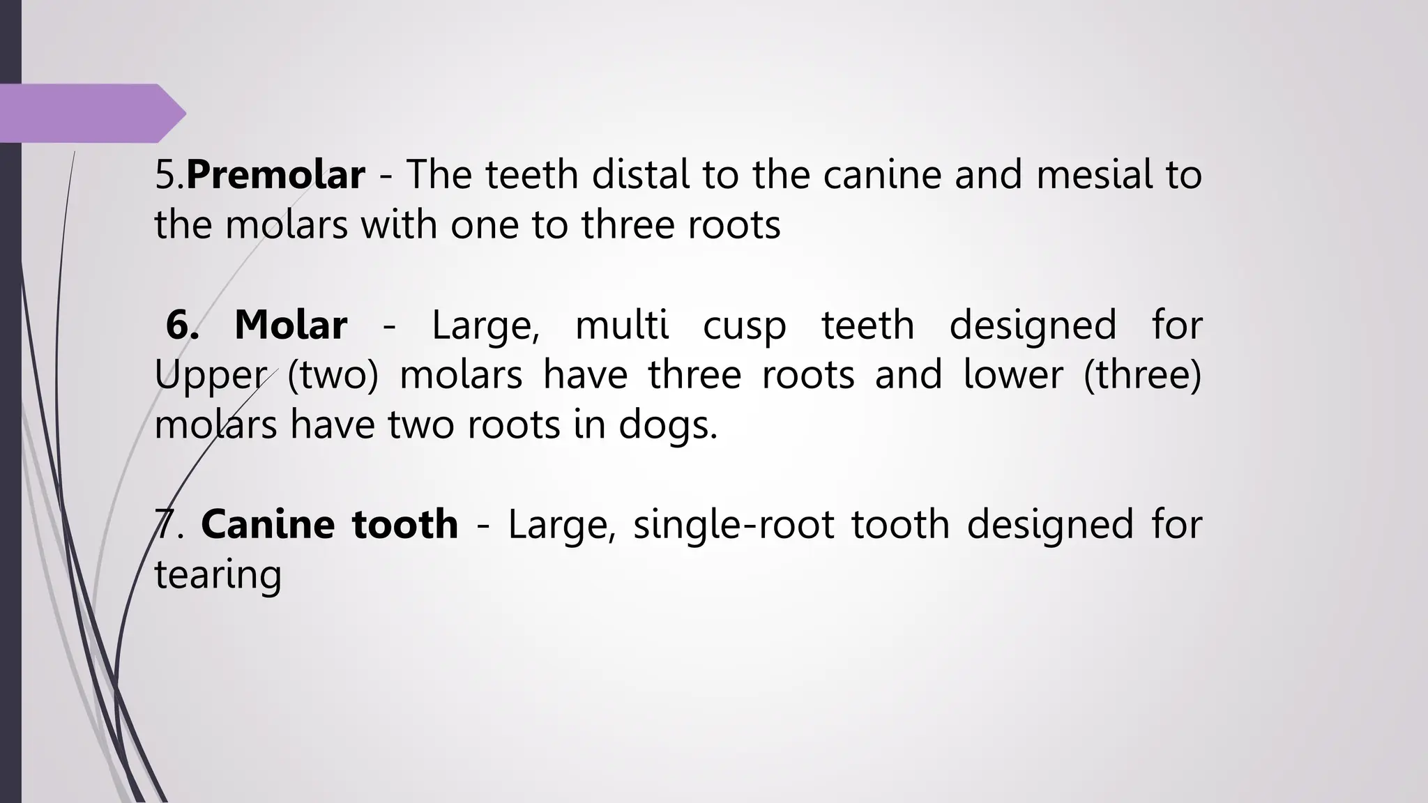 VETERINARY TOOTH ANATOMY AN OVERVIEW.pptx