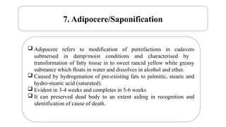 Veterolegal aspects of death and postmortem changes | PPT