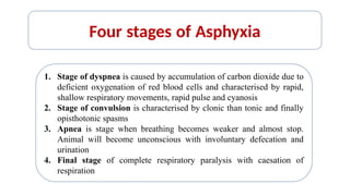 Veterolegal aspects of death and postmortem changes | PPT