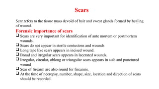 Veterolegal aspects of wounds, burns and scars.pptx