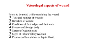 Veterolegal aspects of wounds, burns and scars.pptx