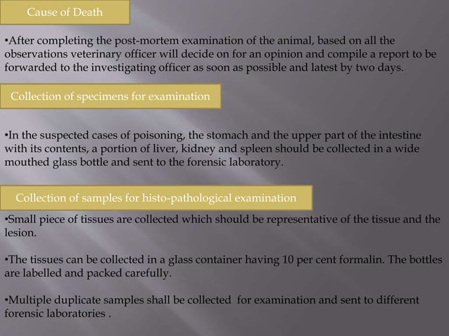 Veterolegal cases and forensics | PPTX | Death, Injury, or Military ...
