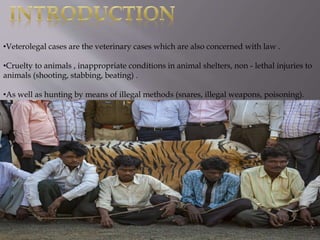 Veterolegal cases and forensics | PPTX