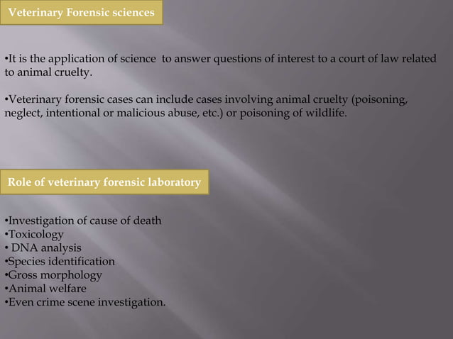 Veterolegal cases and forensics | PPTX | Death, Injury, or Military ...