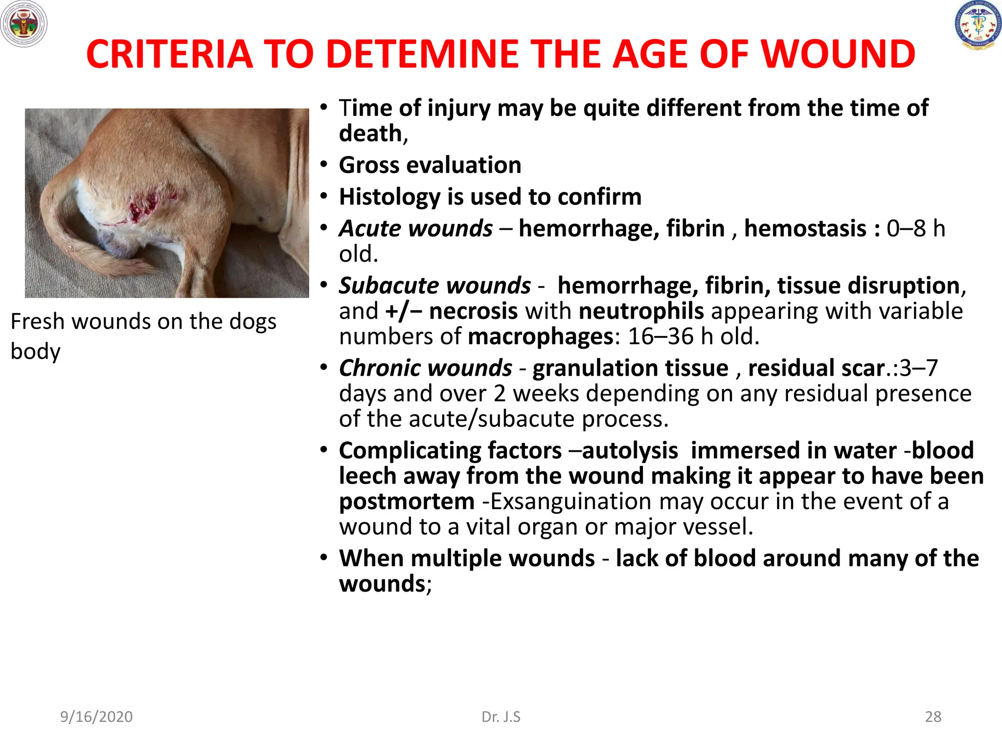 detailed explanation of Veterolegal wounds | PDF