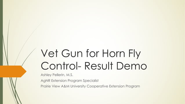 Vet gun presentation 2019 - Ashley Pellerin | PPT