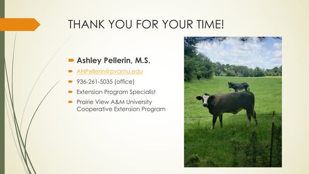 Vet gun presentation 2019 - Ashley Pellerin | PPT