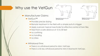 Vet gun presentation 2019 - Ashley Pellerin | PPT