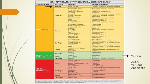 Vet gun presentation 2019 - Ashley Pellerin | PPT