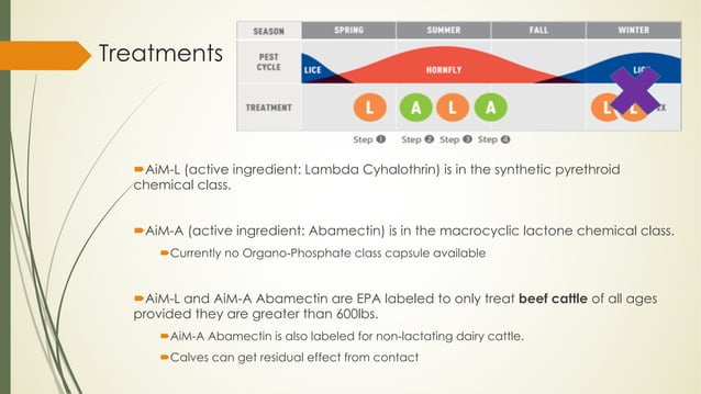 Vet gun presentation 2019 - Ashley Pellerin | PPT