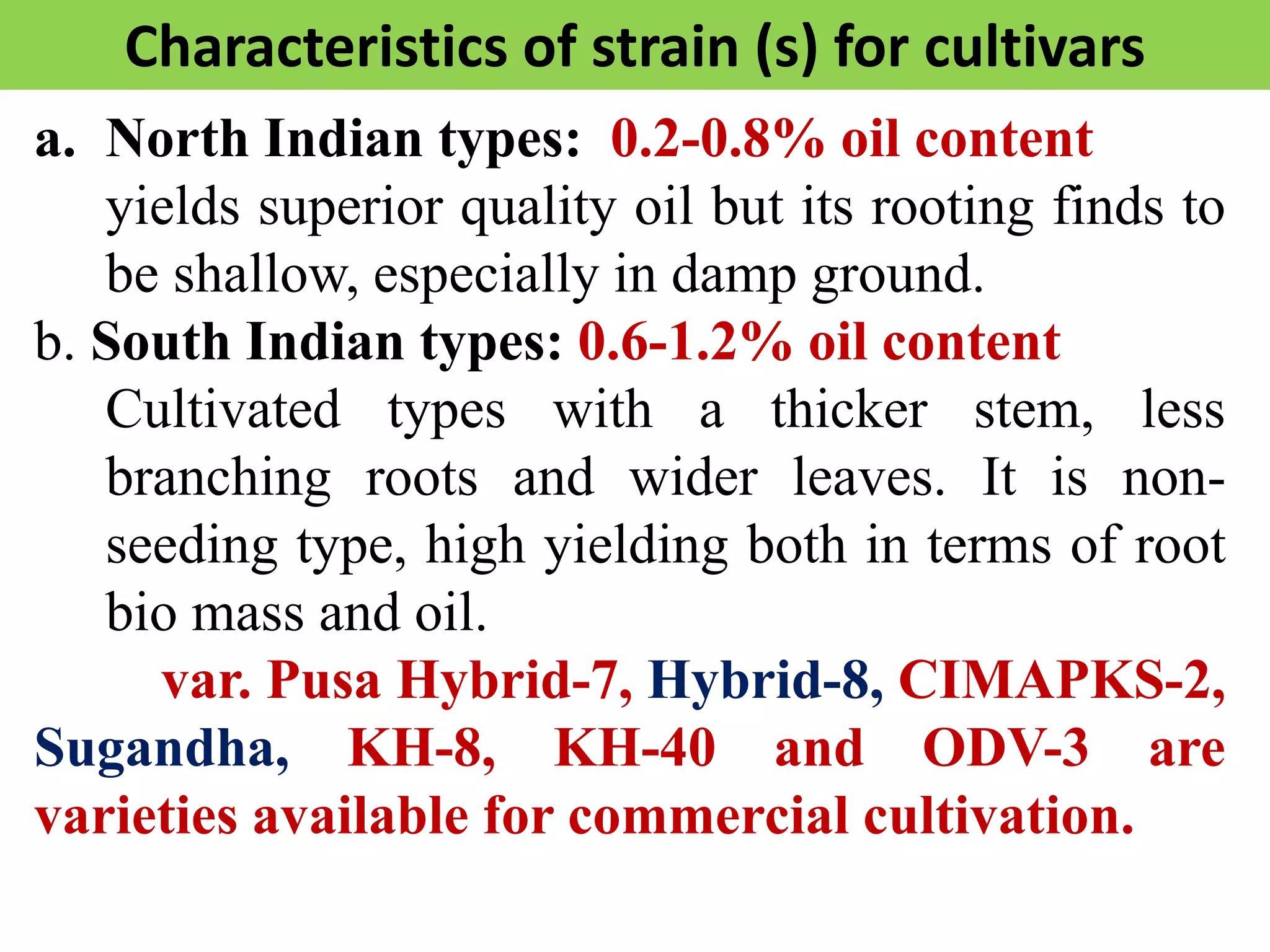 Vetivar cultivation | PPTX