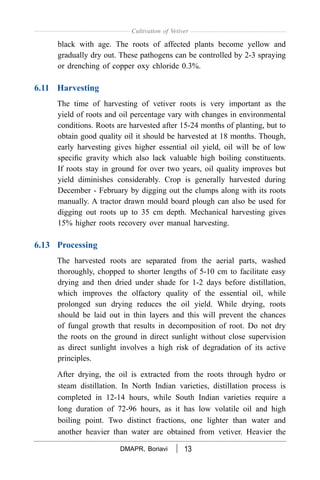 Production technology of Vetiver | PDF
