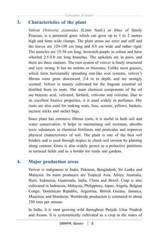 Production technology of Vetiver | PDF