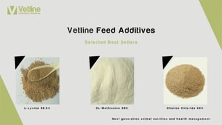 Vetline Company Profile - 2021.pdf