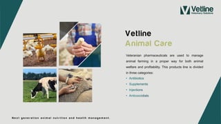 Vetline Company Profile - 2021.pdf