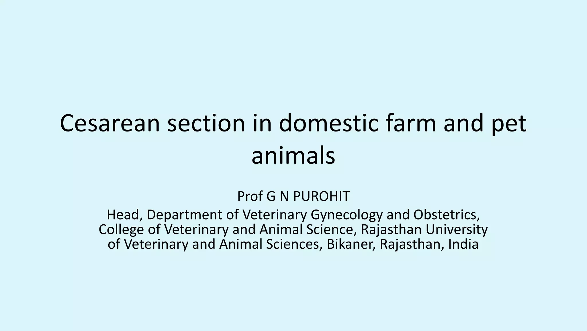 Vet obst lecture 10 Cesarean in domestic farm and pet animals | PDF