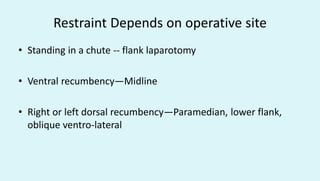 Vet obst lecture 10 Cesarean in domestic farm and pet animals | PDF