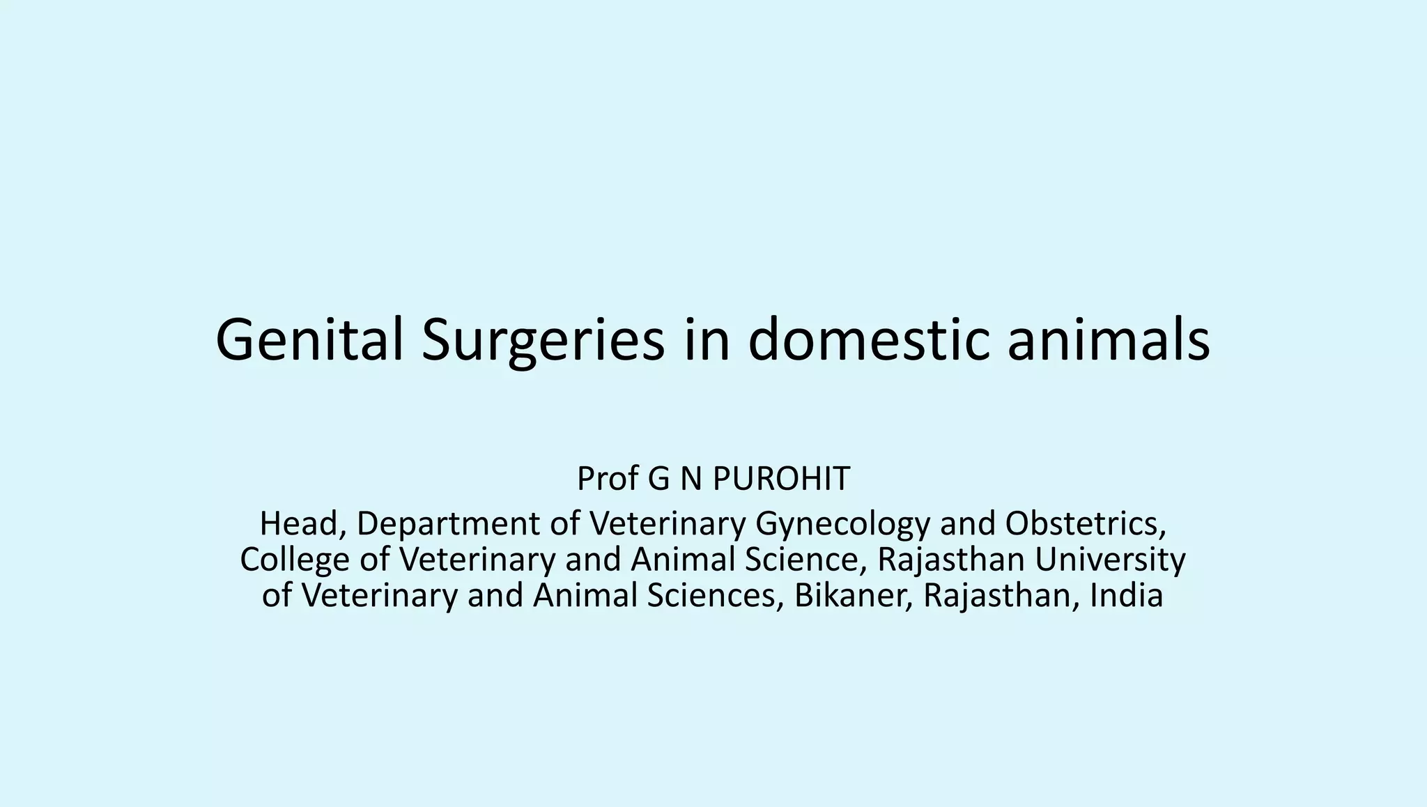 Vet obst lecture 11 Genital surgeries in domestic animals | PDF