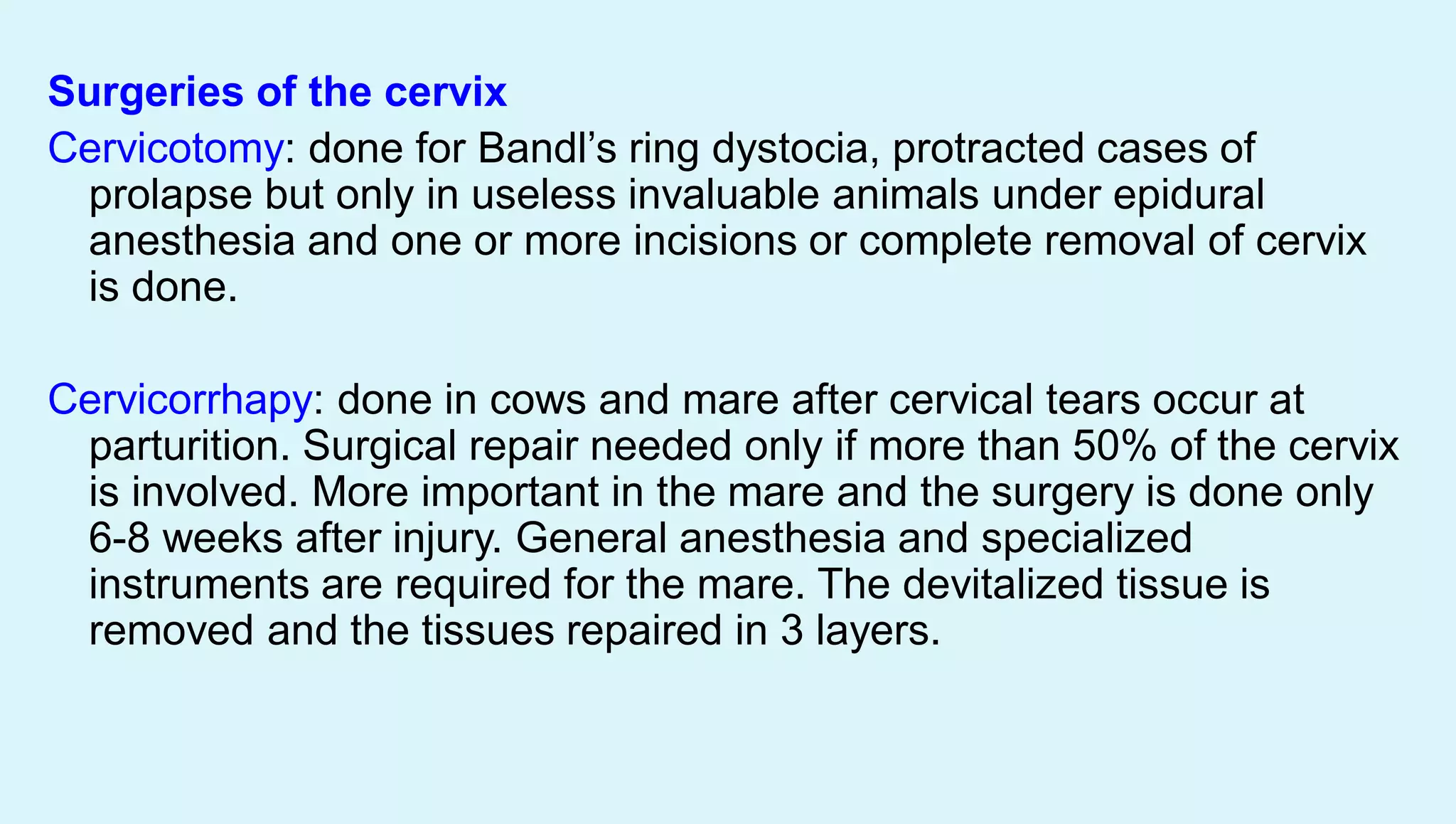 Vet obst lecture 11 Genital surgeries in domestic animals | PDF