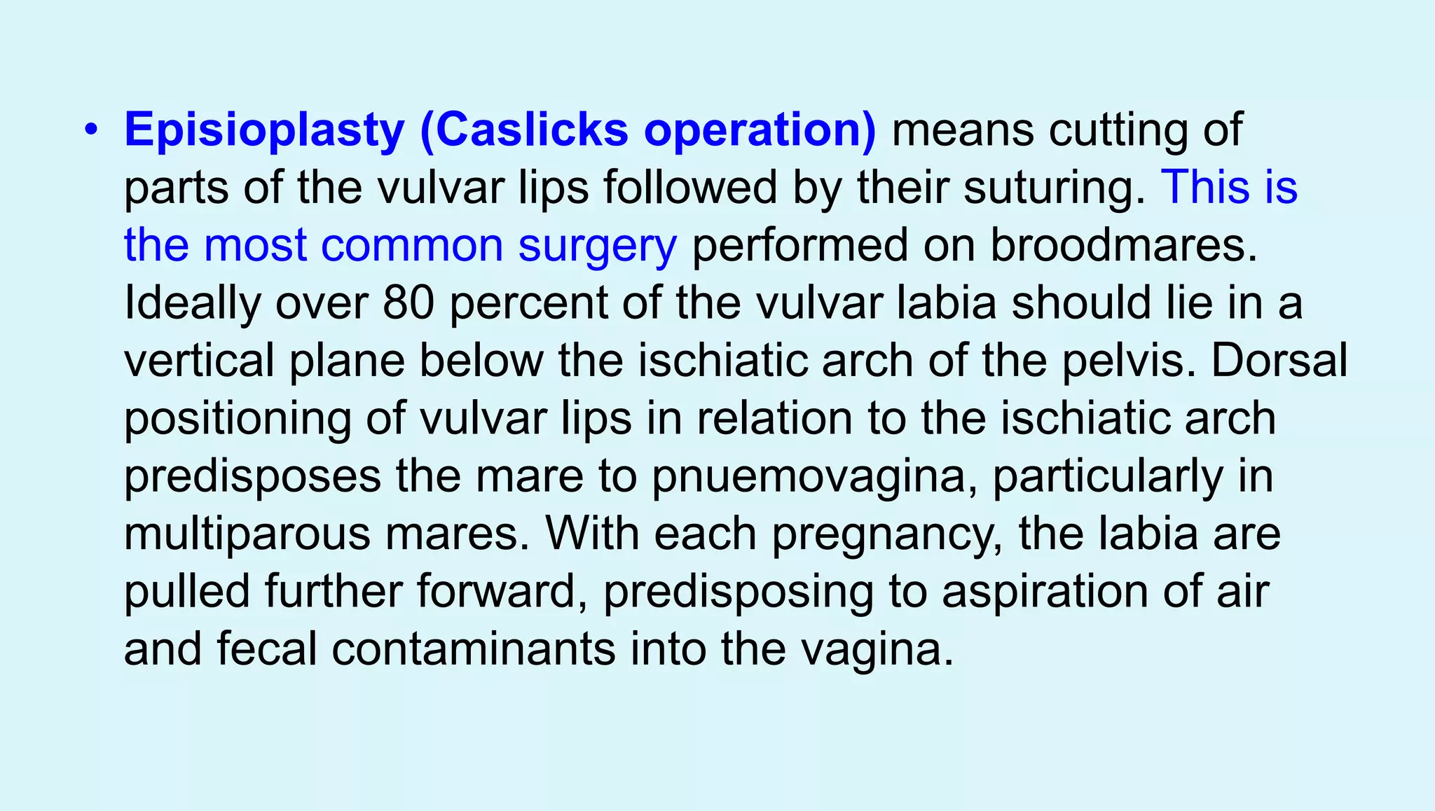 Vet obst lecture 11 Genital surgeries in domestic animals | PDF